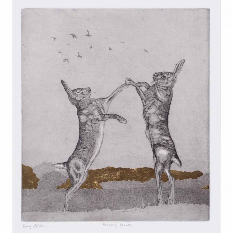 Boxing Hares | Etching | Guy Allen | Walsingham Gallery and Framing
