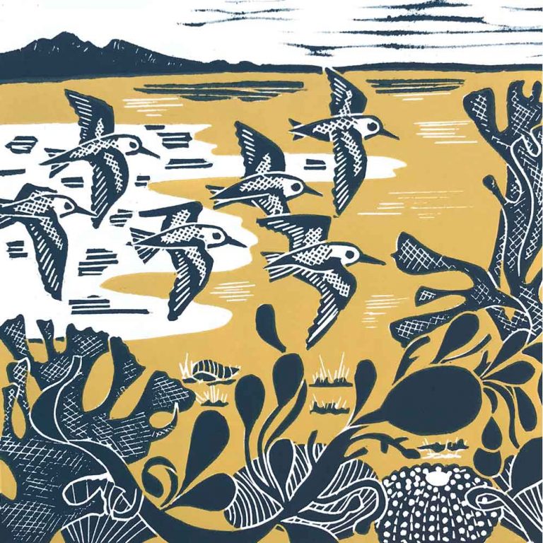 Kate Heiss | Original Linocut Prints | Walsingham Gallery and Framing
